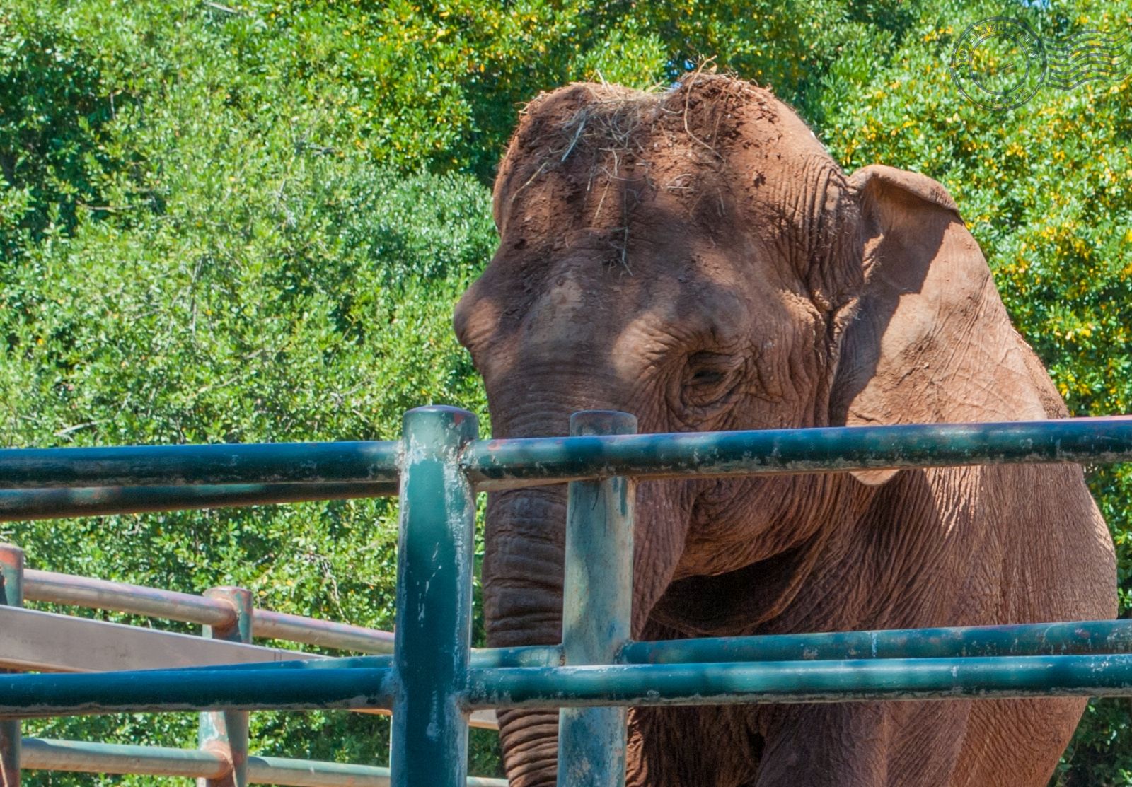 N.P. Brijuni - 14 rajskih otoka, Hrvatska ~ Moje Razglednice